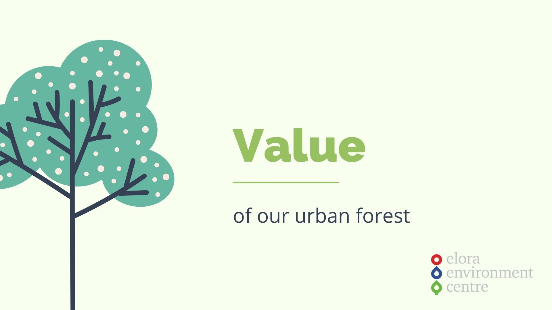 Learn About the Value of Trees in Centre Wellington – Elora Environment ...