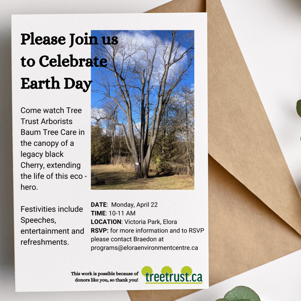 Earth Day the Tree Trust Way – Elora Environment Centre